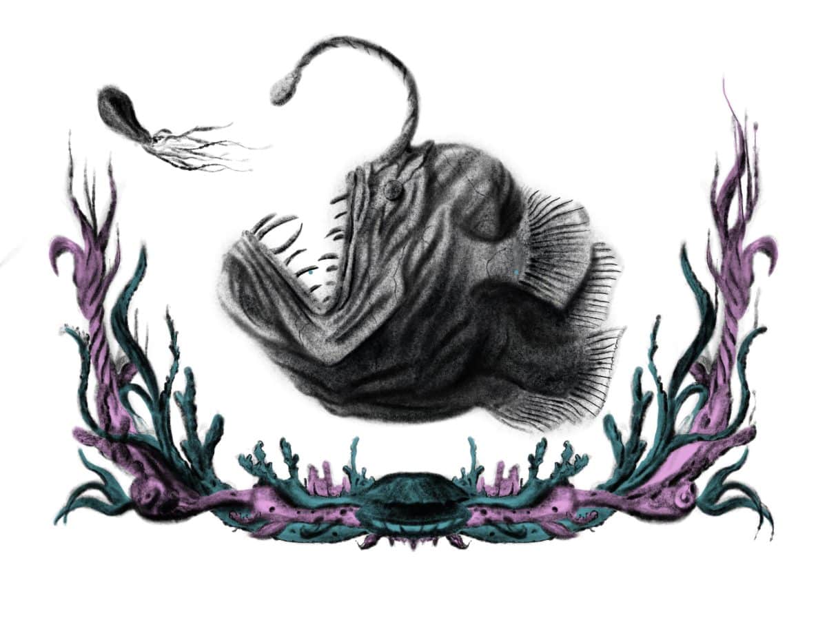 IL CORVO: SIGNIFICATO, SIMBOLO E LEGGENDA - Feel No Pain