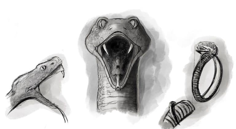 L'UROBORO: STORIA, SIGNIFICATO E SIMBOLISMO - Feel No Pain