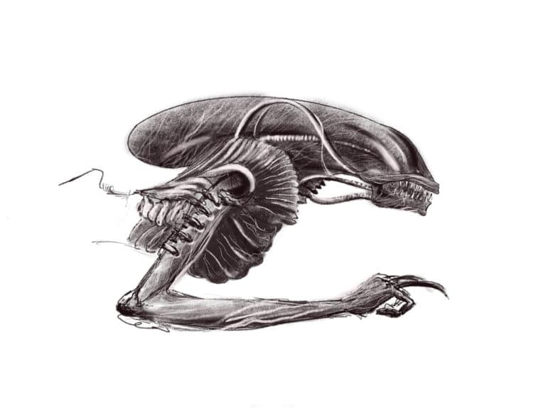 ALIEN OR XENOMORPH: HISTORY, MEANINGS AND SYMBOLS - Feel No Pain