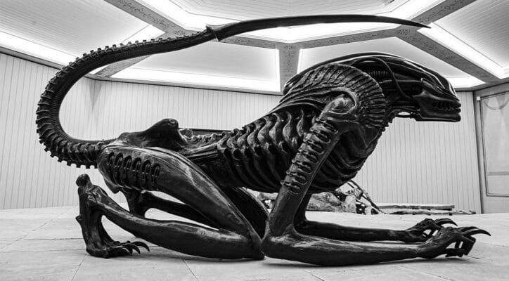 ALIEN OR XENOMORPH: HISTORY, MEANINGS AND SYMBOLS - Feel No Pain